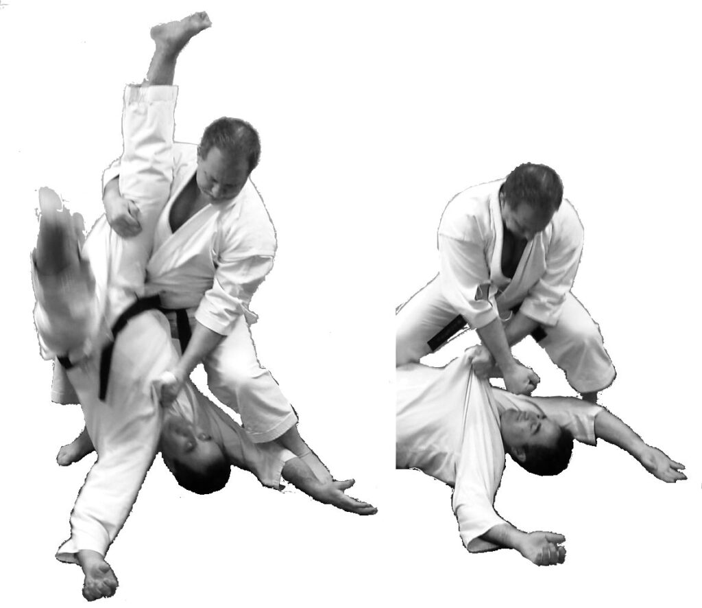 Kata Jutstu - Kata Applications featuring David Gimberline